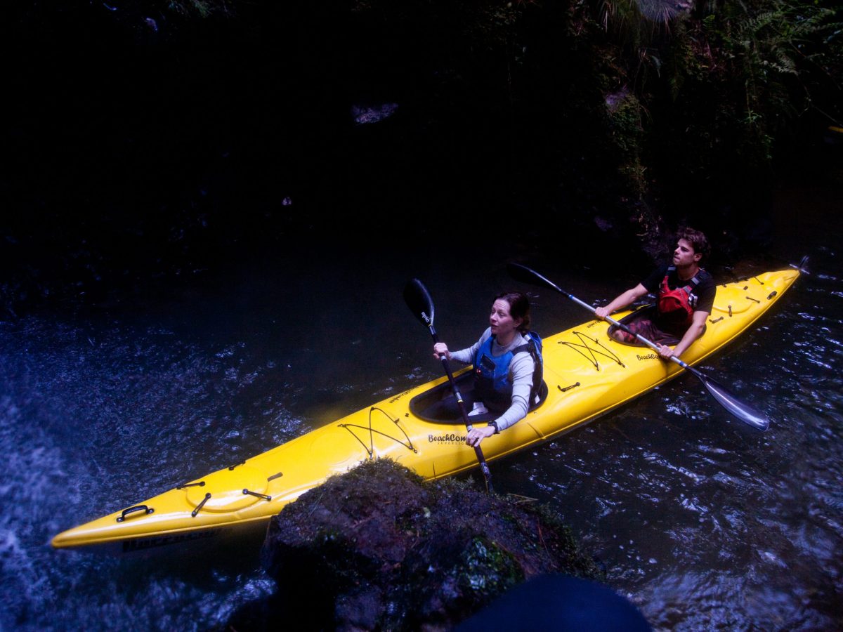 The Boatshed Kayaks | Kayak & Paddleboard Trips in Cambridge, NZ