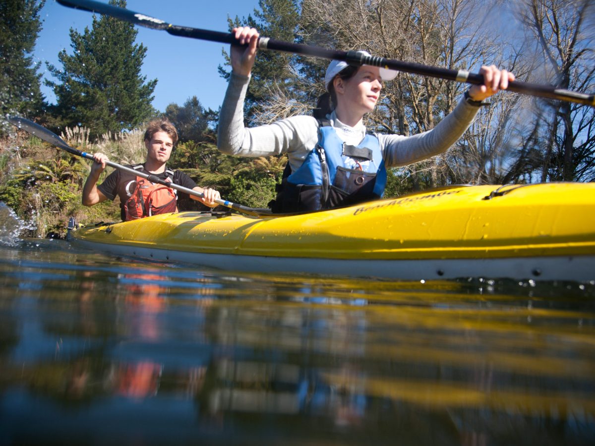 The Boatshed Kayaks | Kayak & Paddleboard Trips in Cambridge, NZ