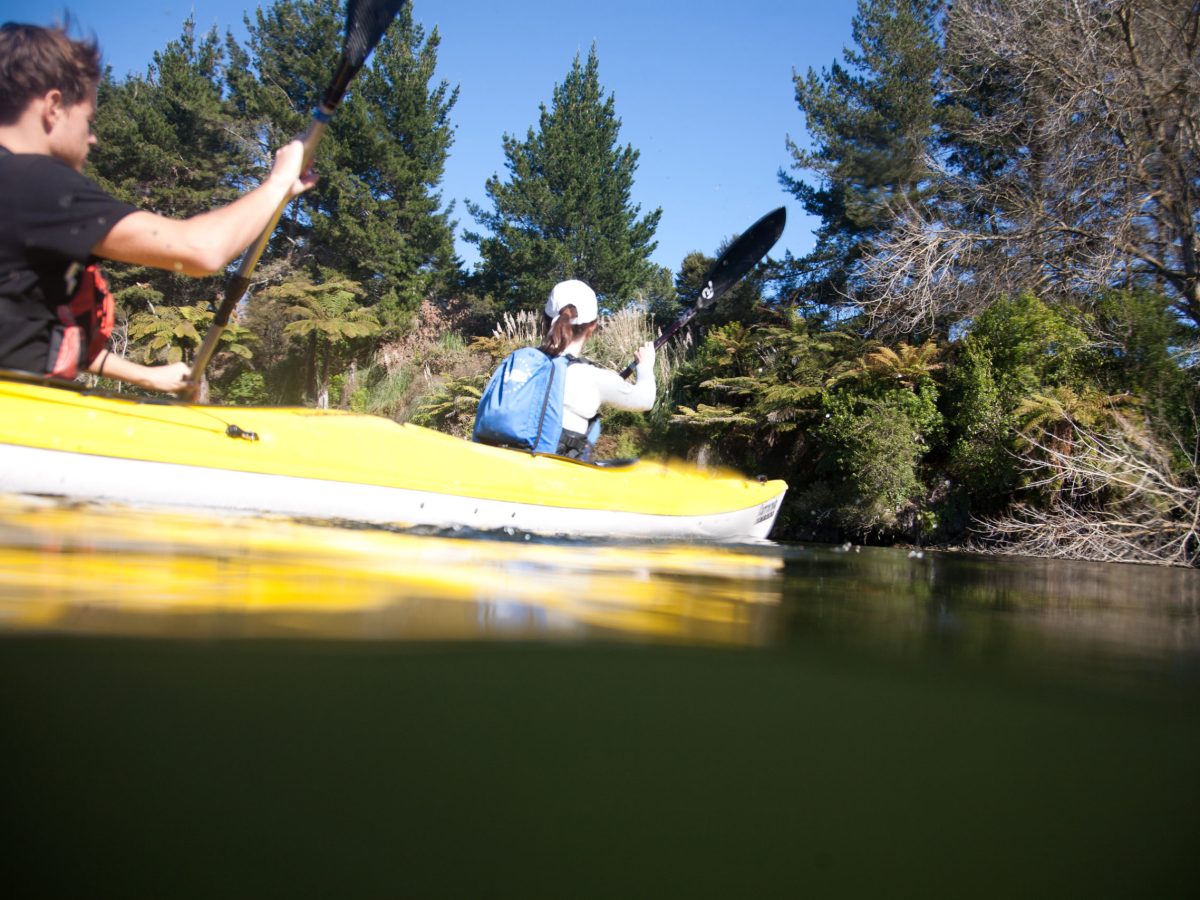 The Boatshed Kayaks | Kayak & Paddleboard Trips in Cambridge, NZ
